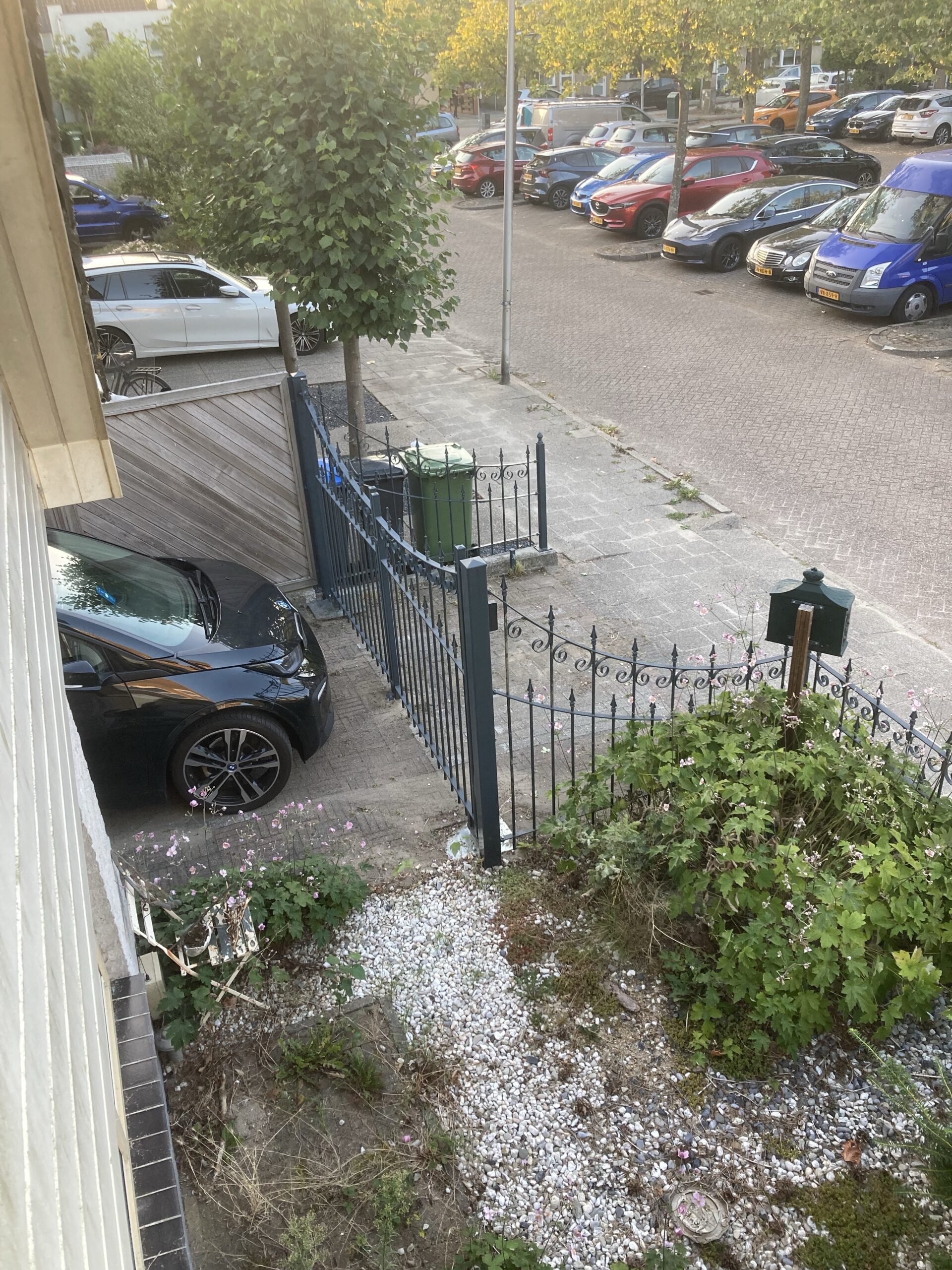 Onkruid wieden – Esther's dairy